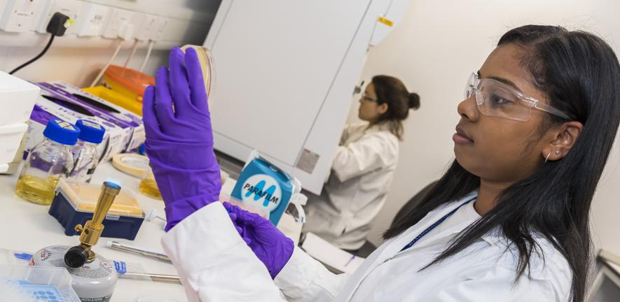 The MPACC | Chemistry of Health